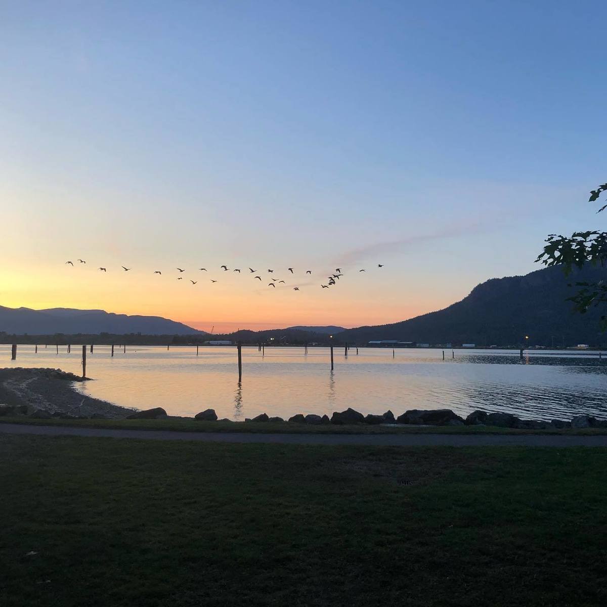 Mindful Steps Therapy - Healing one step at a time